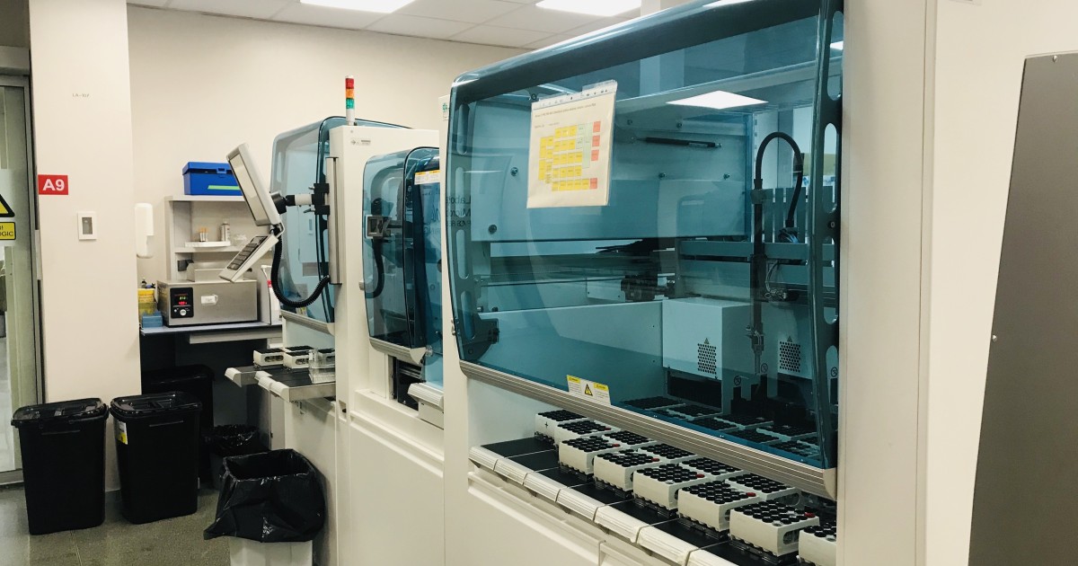 L'alumnat de Laboratori Clínic i Biomèdic de Jesuïtes El Clot explora l ...